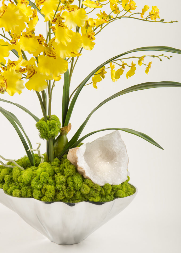 FELICITY | IBB Design